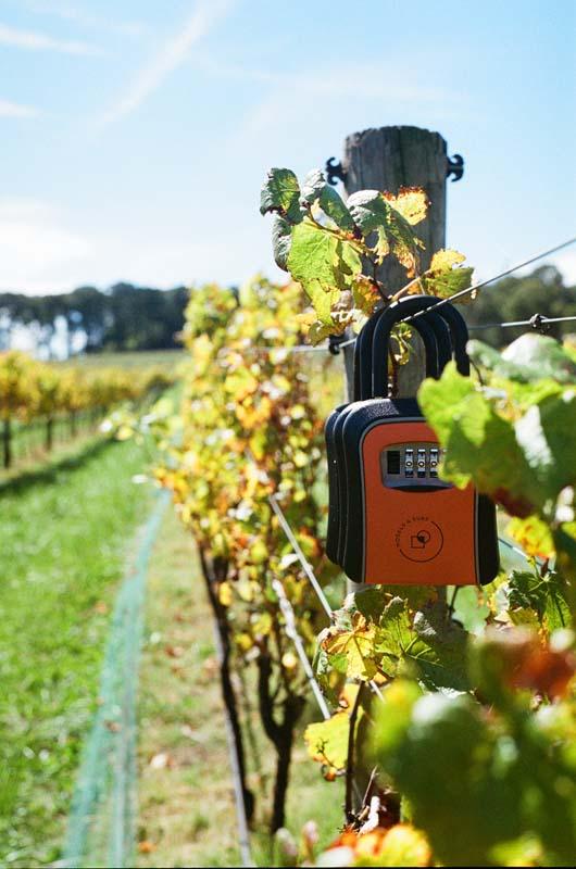 Surf padLock | key safe box padlock 2025